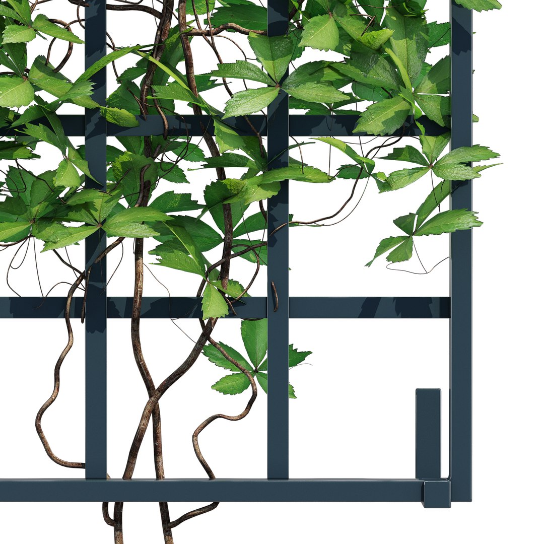 3D Wall Trellis One Model - TurboSquid 1915299