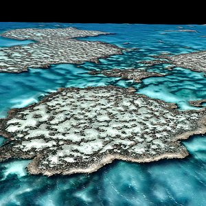 Coral Reef 3D Models for Download | TurboSquid