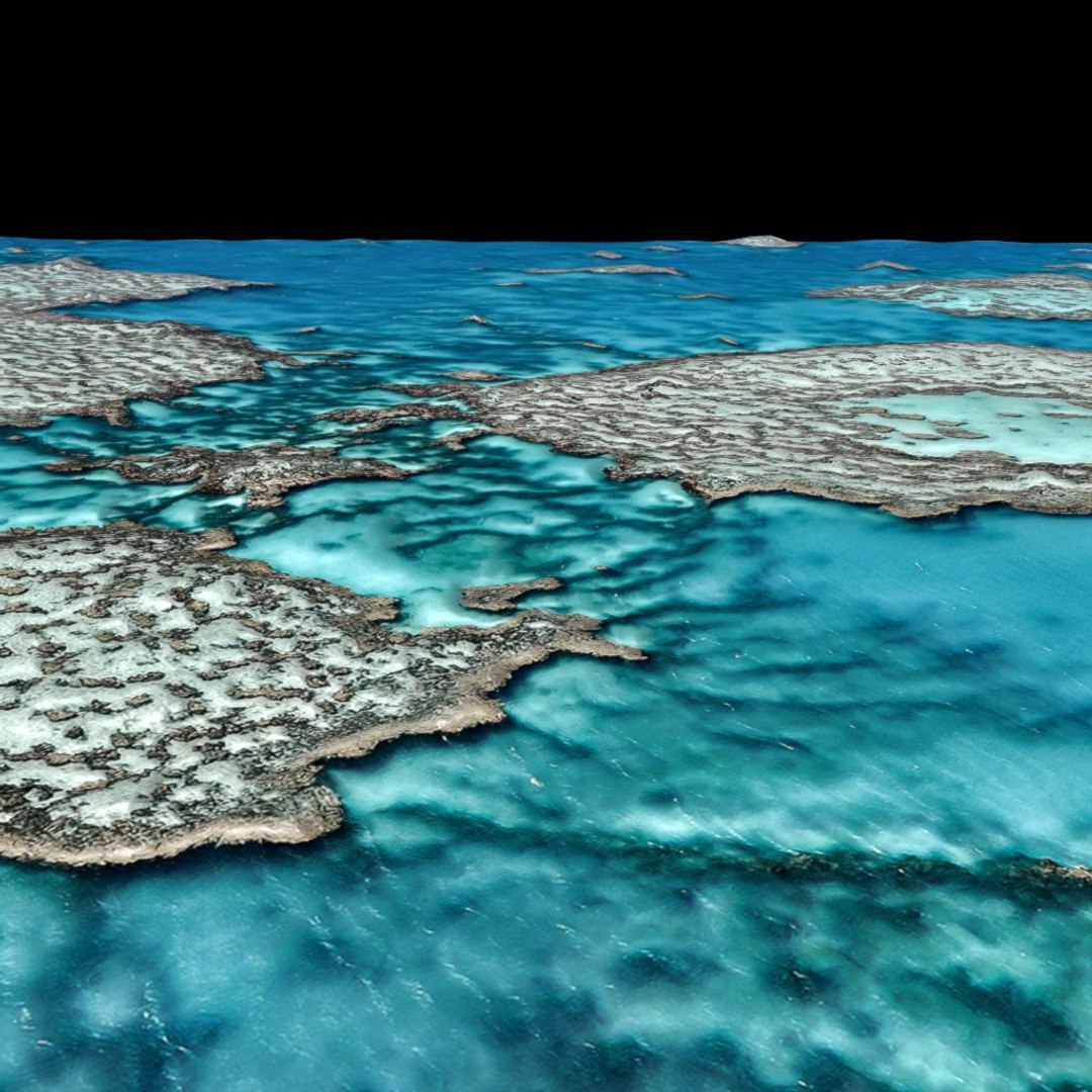 Great Barrier Reef Max