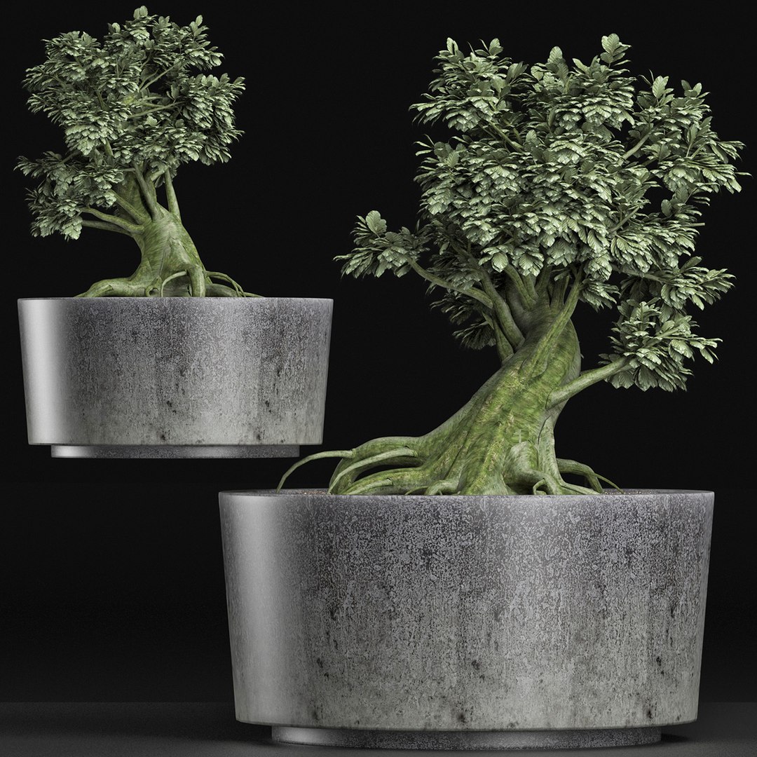 3D Tree Plant - TurboSquid 1680778