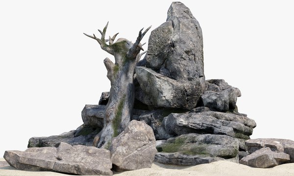 free rock tree 3d model