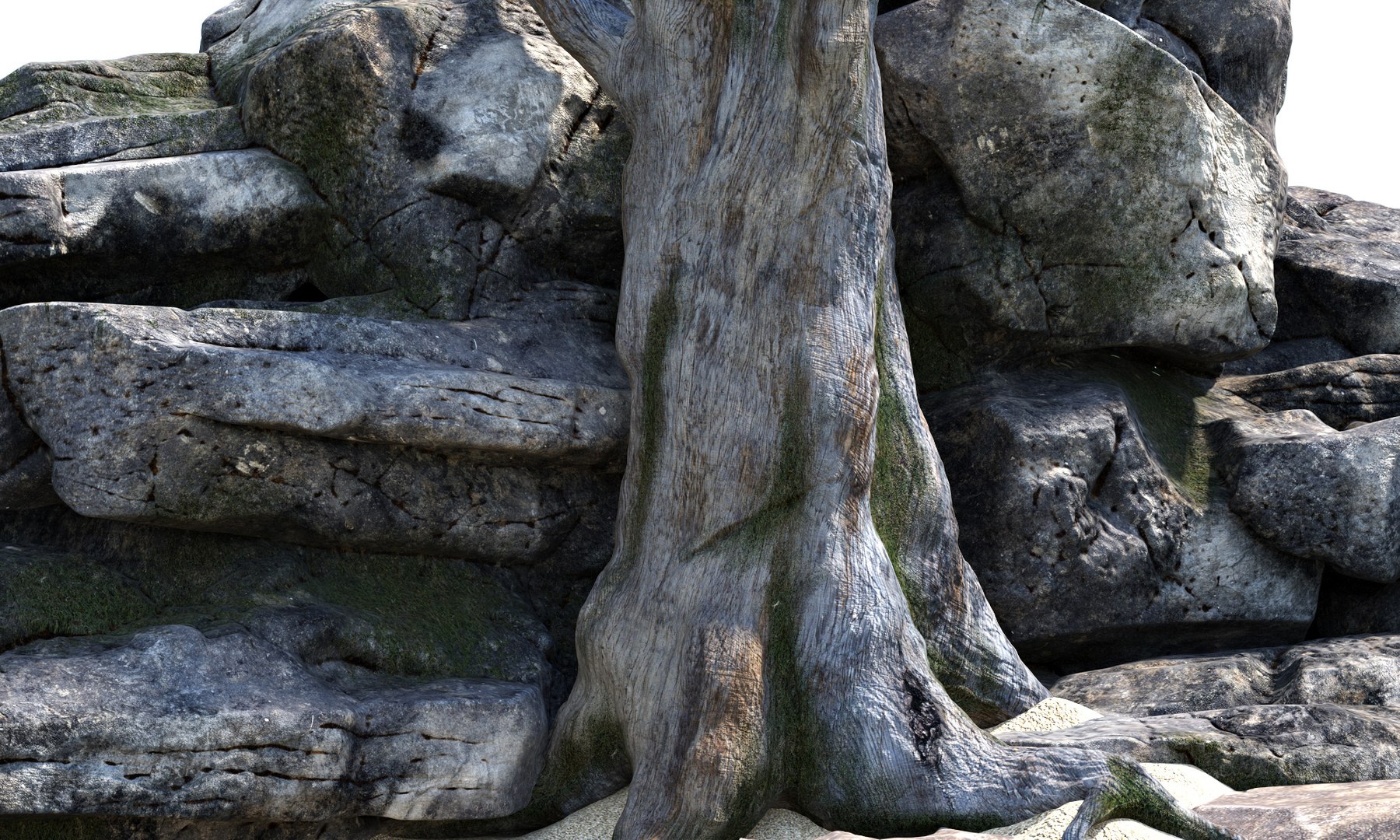 Free Rock Tree 3d Model