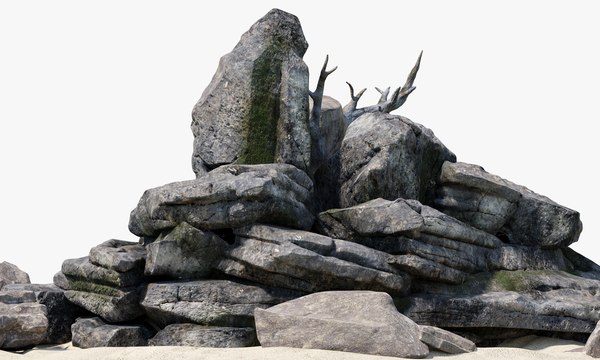 free rock tree 3d model