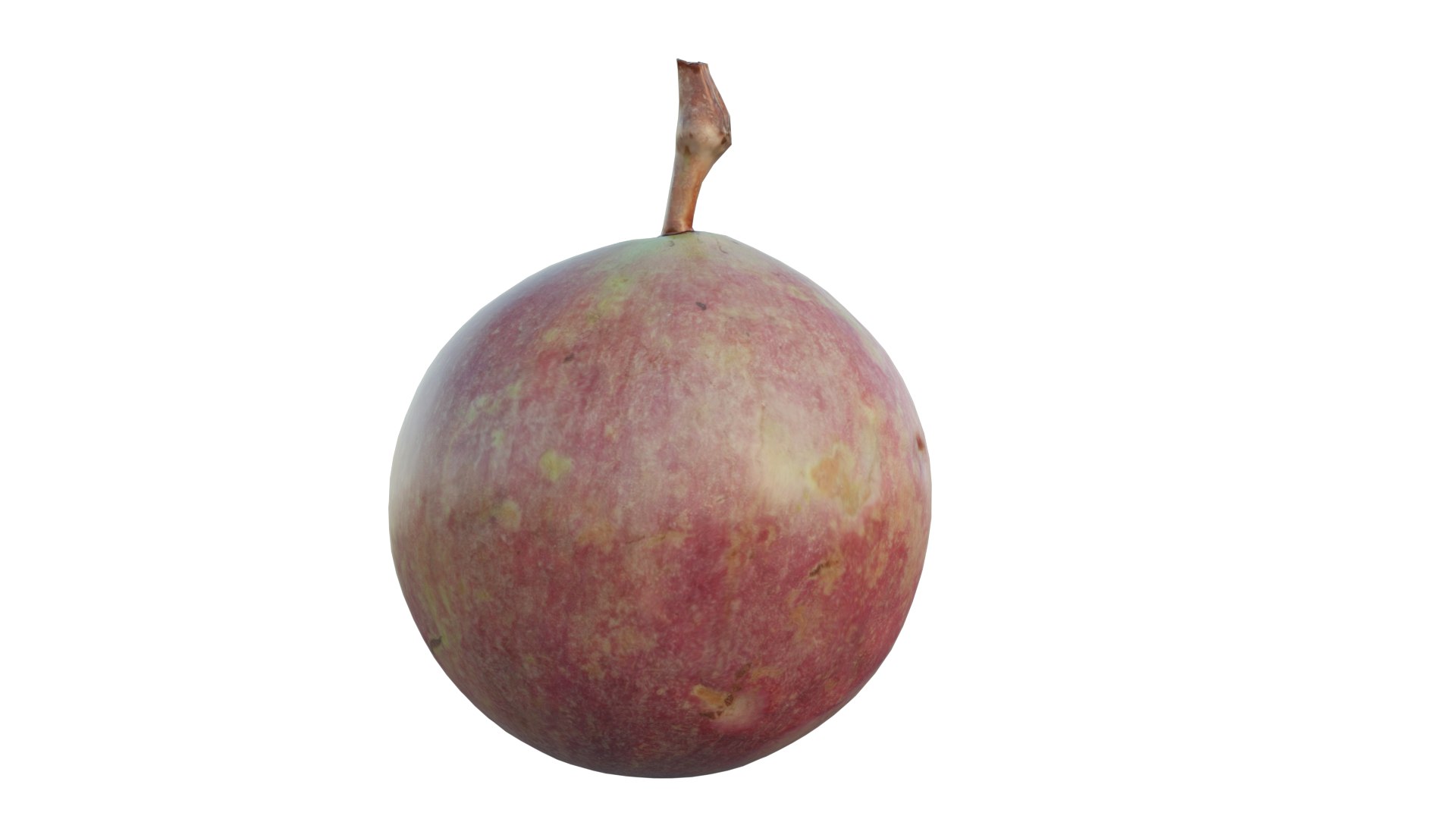 Star apple 3D - TurboSquid 1903266