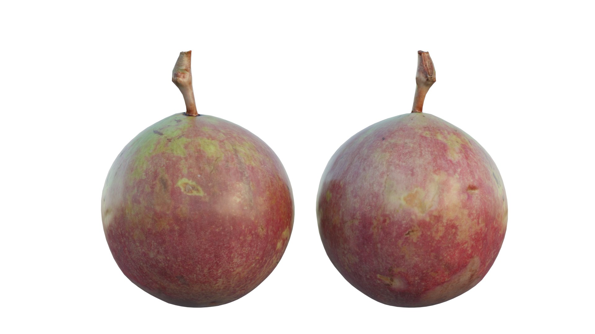 Star apple 3D - TurboSquid 1903266