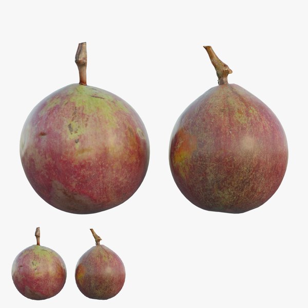 Star apple 3D - TurboSquid 1903266