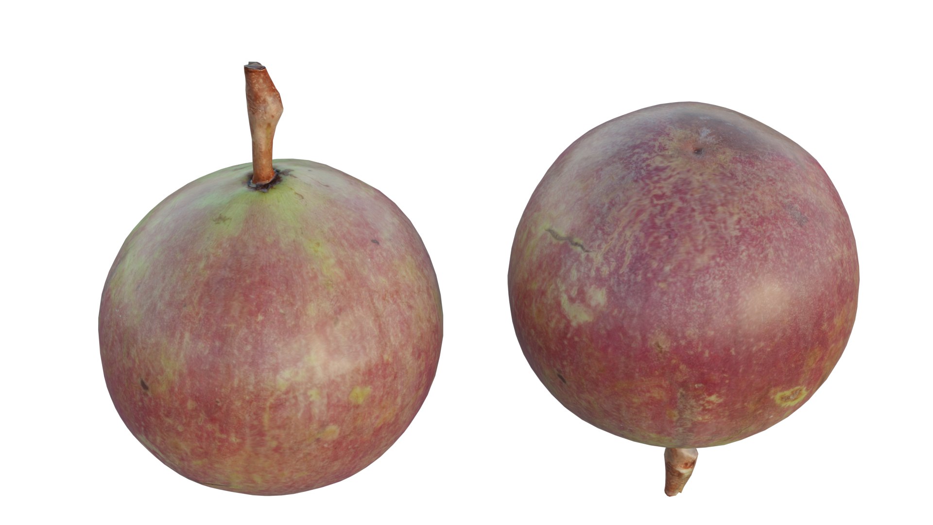 Star apple 3D - TurboSquid 1903266