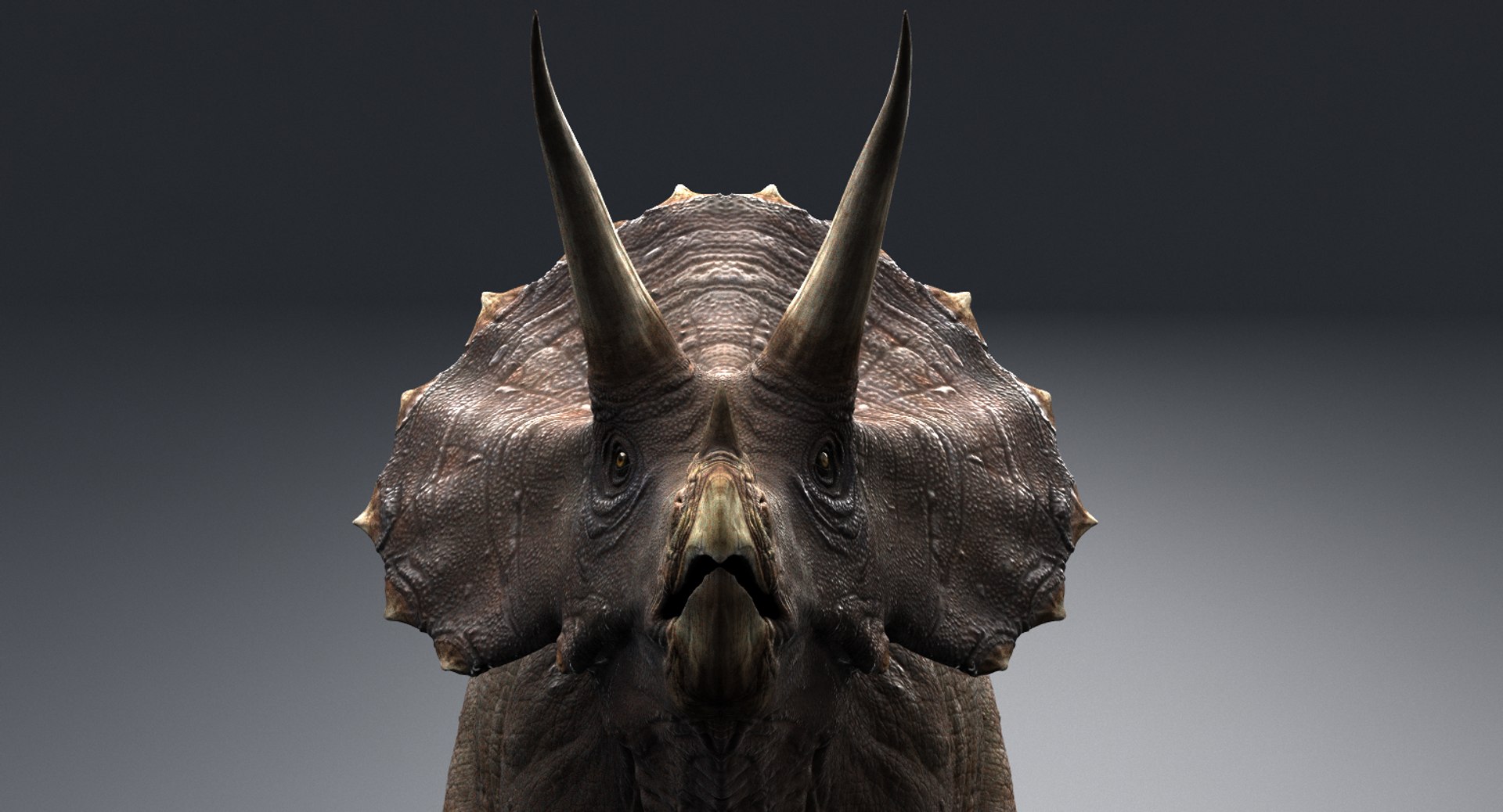 Realistic Triceratops 3d Model