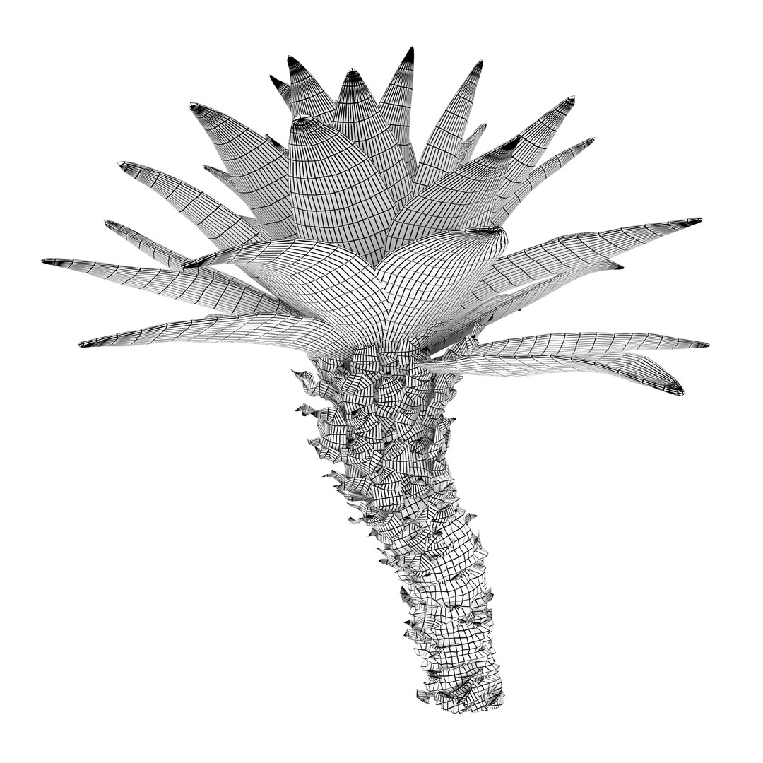 3D Model Agave 03 - TurboSquid 1959881