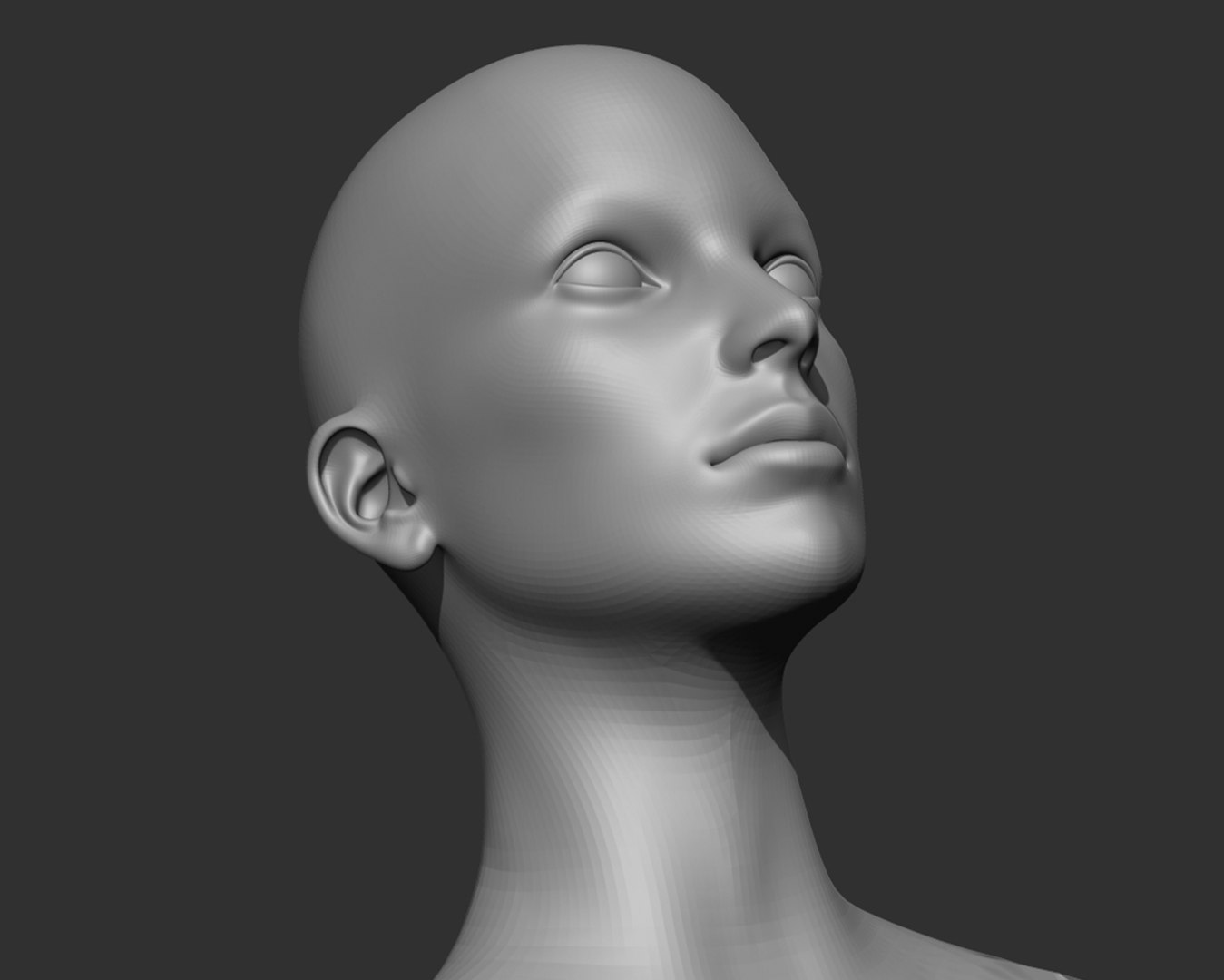 Female Head Realistic Base Mesh Model - TurboSquid 1549846
