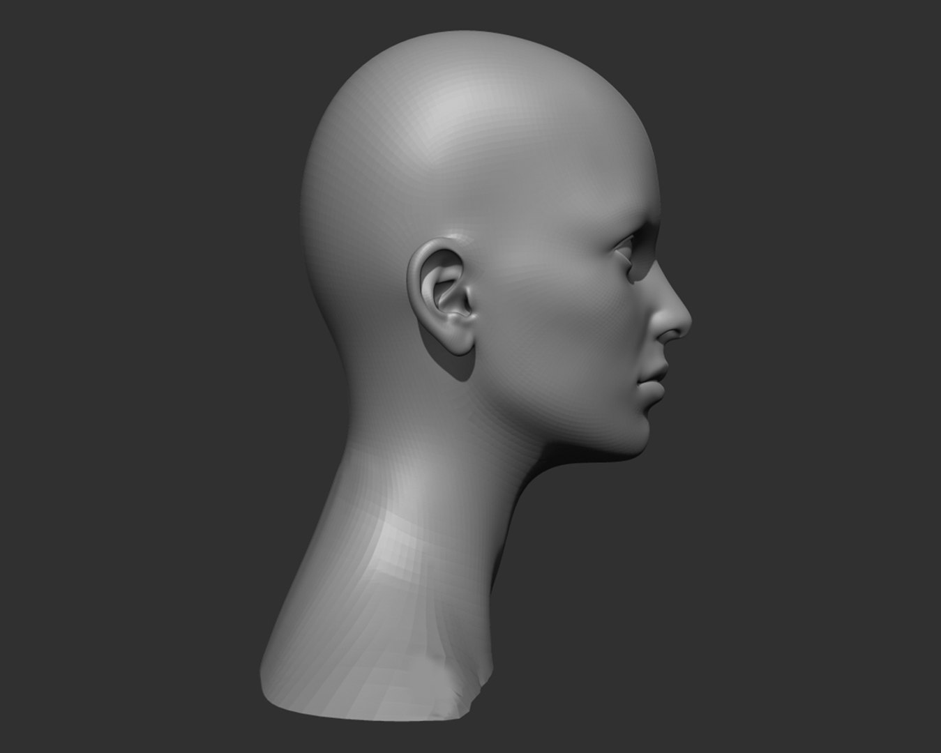 Female Head Realistic Base Mesh Model - TurboSquid 1549846