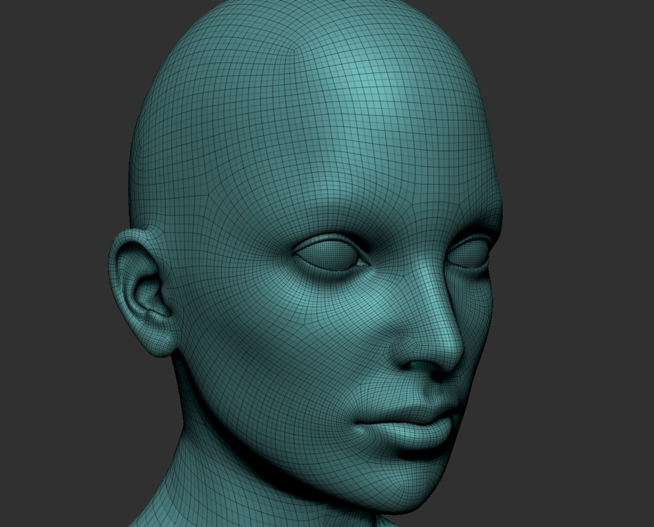 Female Head Realistic Base Mesh Model - TurboSquid 1549846