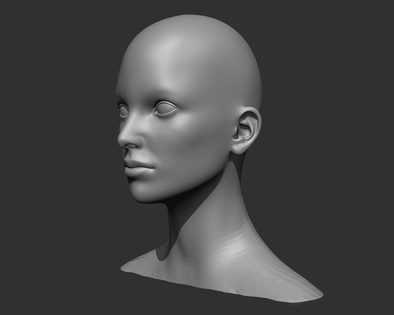 Female Head Realistic Base Mesh Model - TurboSquid 1549846