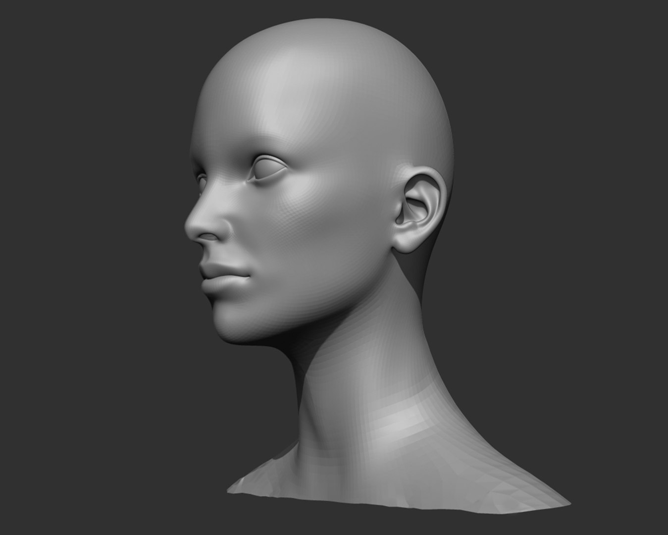 Female Head Realistic Base Mesh Model - TurboSquid 1549846