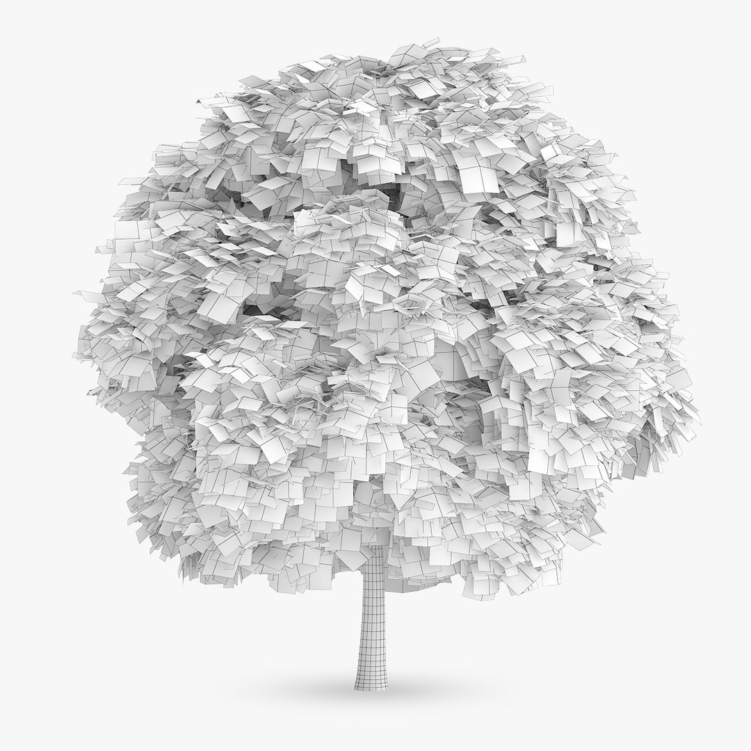 3d model common whitebeam 6 5m
