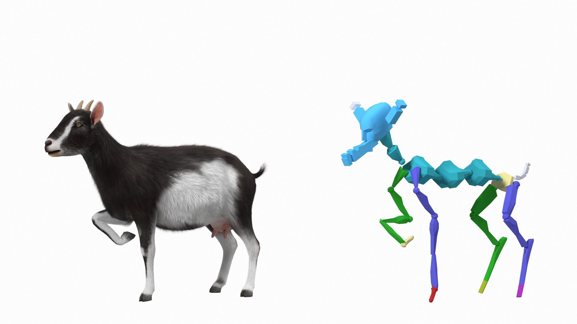 Domestic Goat Rigged Fur Model - TurboSquid 1992098