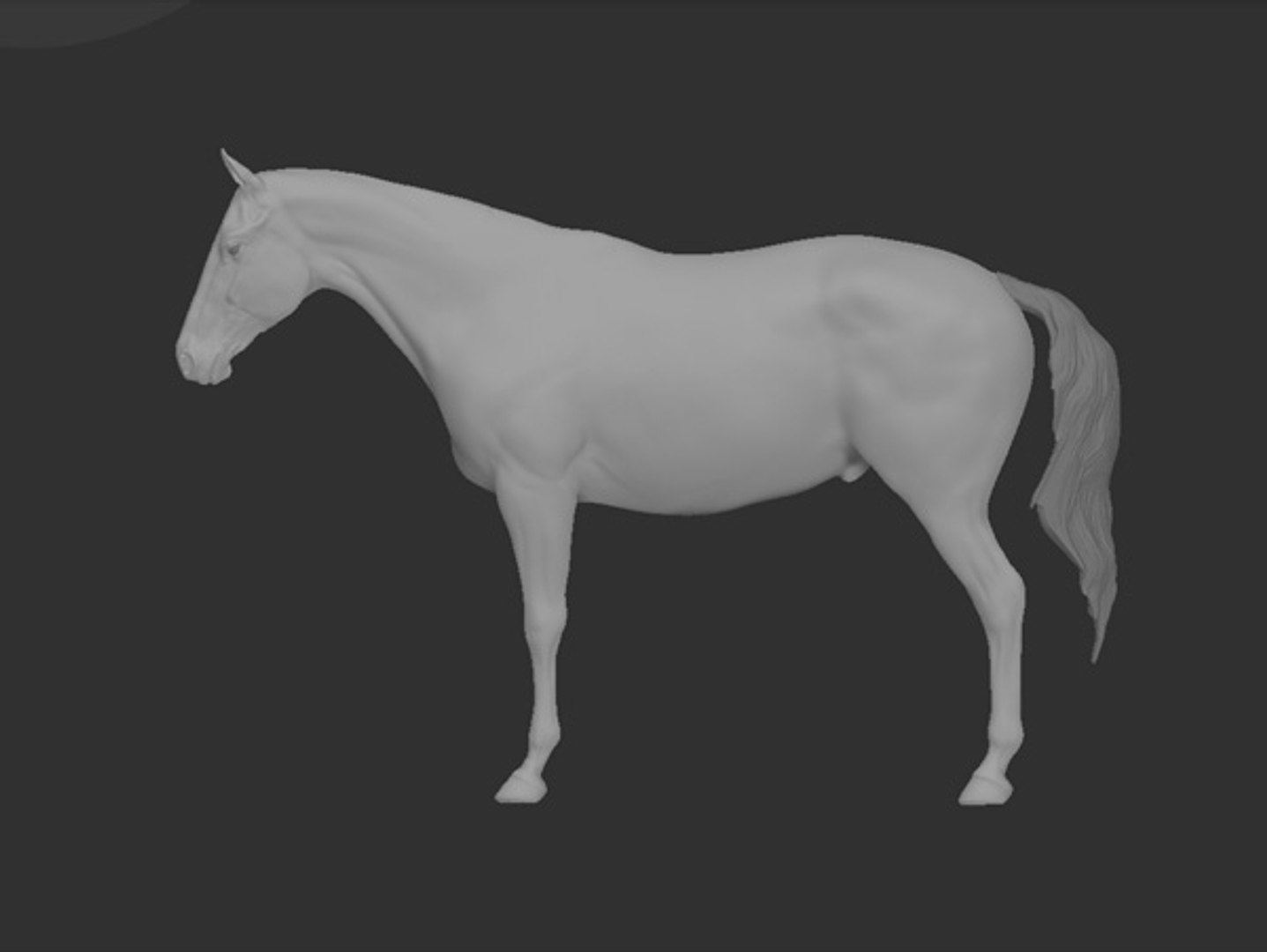 3d Model Stallion Mare