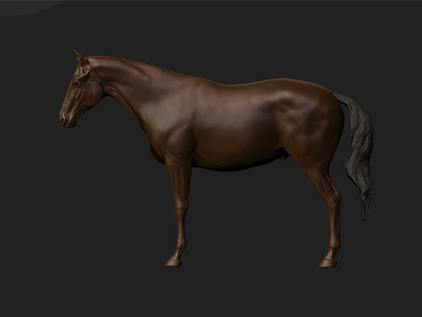 3d Model Stallion Mare