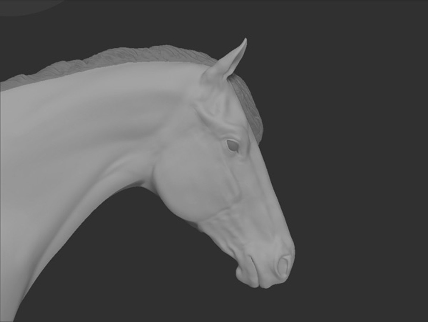 3d Model Stallion Mare