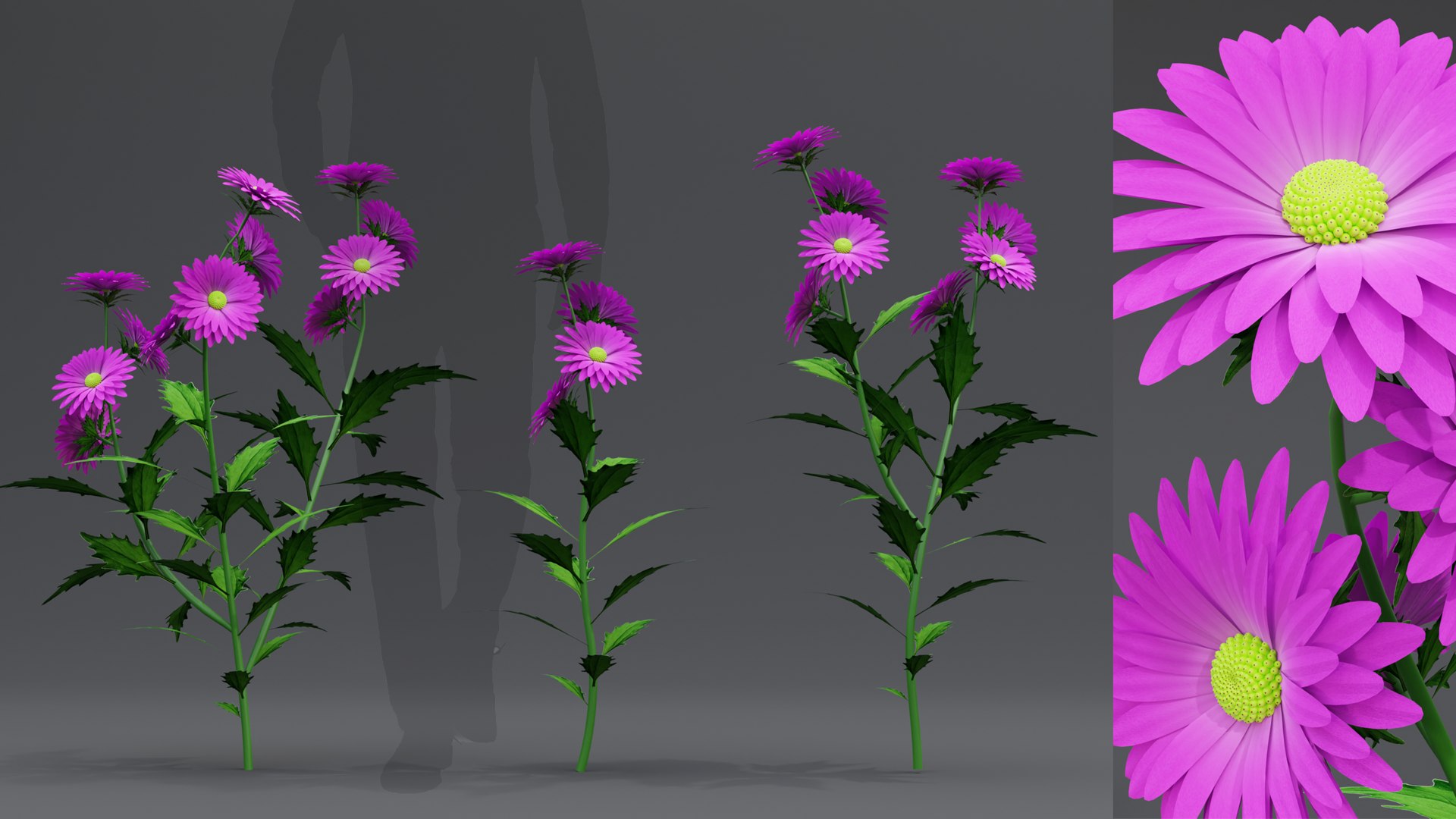 3D 3d Flower Plant - TurboSquid 2087048