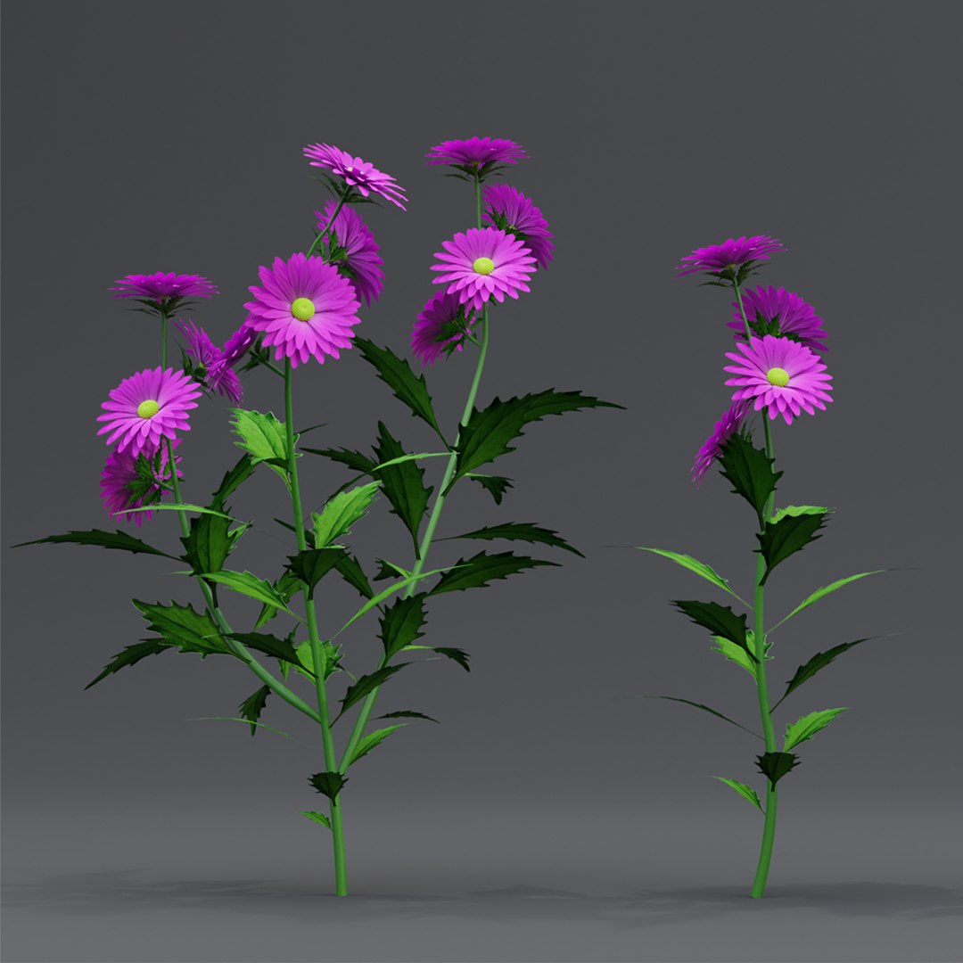 3D 3d Flower Plant - TurboSquid 2087048