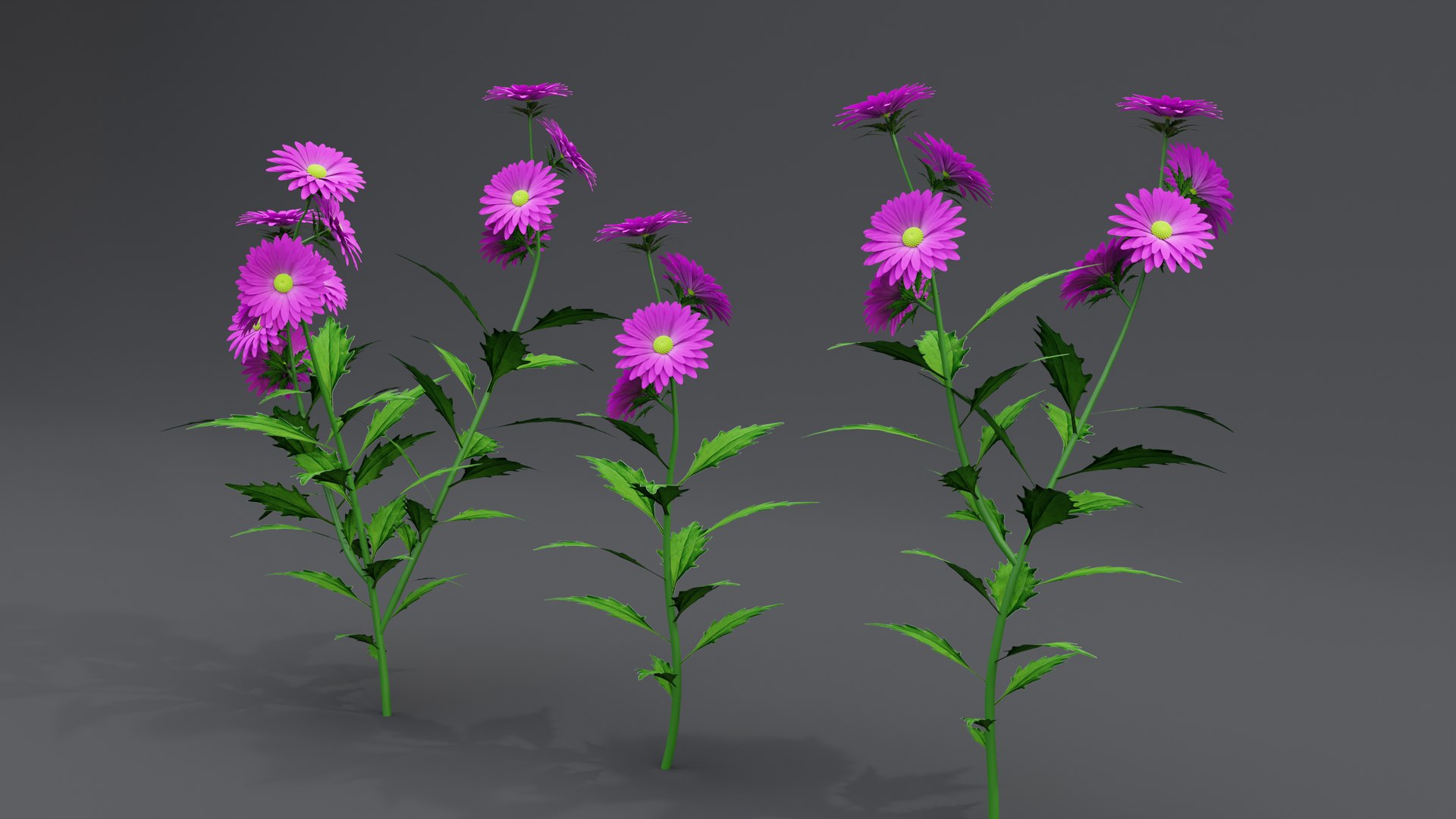 3D 3d Flower Plant - TurboSquid 2087048