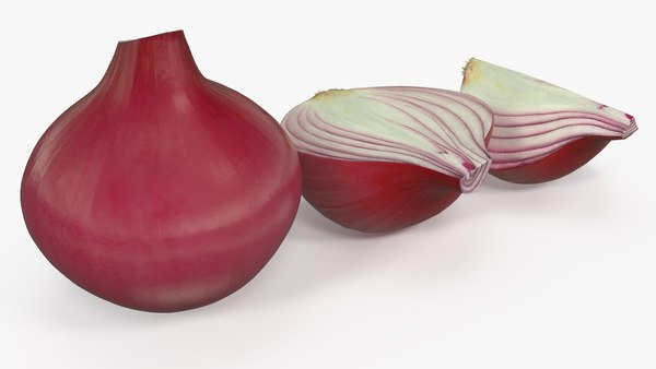 Red Onions Fur 3D model - TurboSquid 1953343