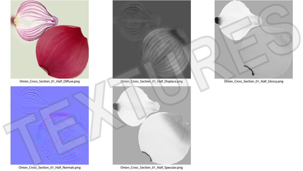 Red Onions Fur 3D model - TurboSquid 1953343