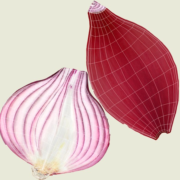 Red Onions Fur 3D model - TurboSquid 1953343