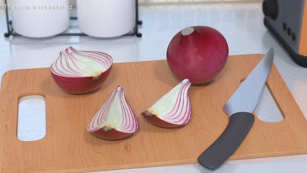 Red Onions Fur 3D model - TurboSquid 1953343