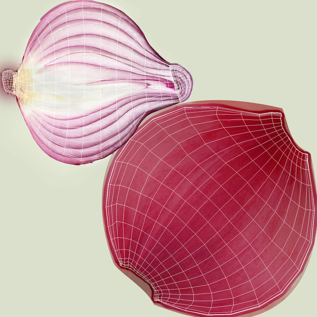 Red Onions Fur 3D model - TurboSquid 1953343
