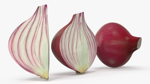 Red Onions Fur 3D model - TurboSquid 1953343