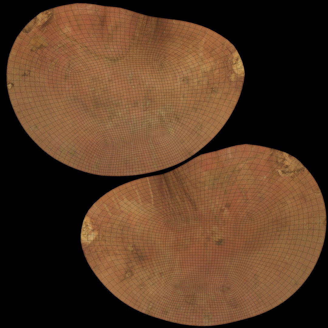 3D potato model - TurboSquid 1275637