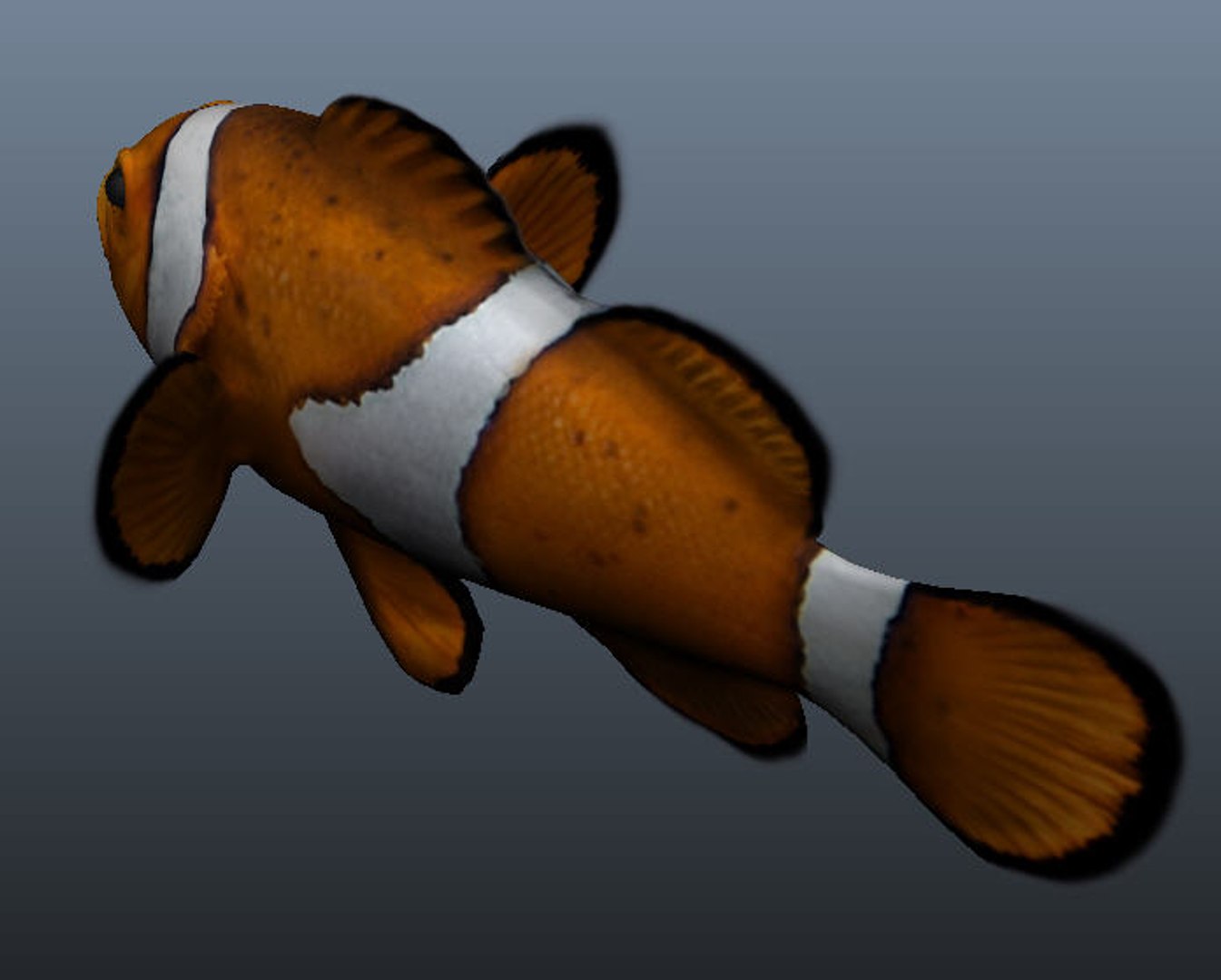 Clownfish Fish 3d Obj