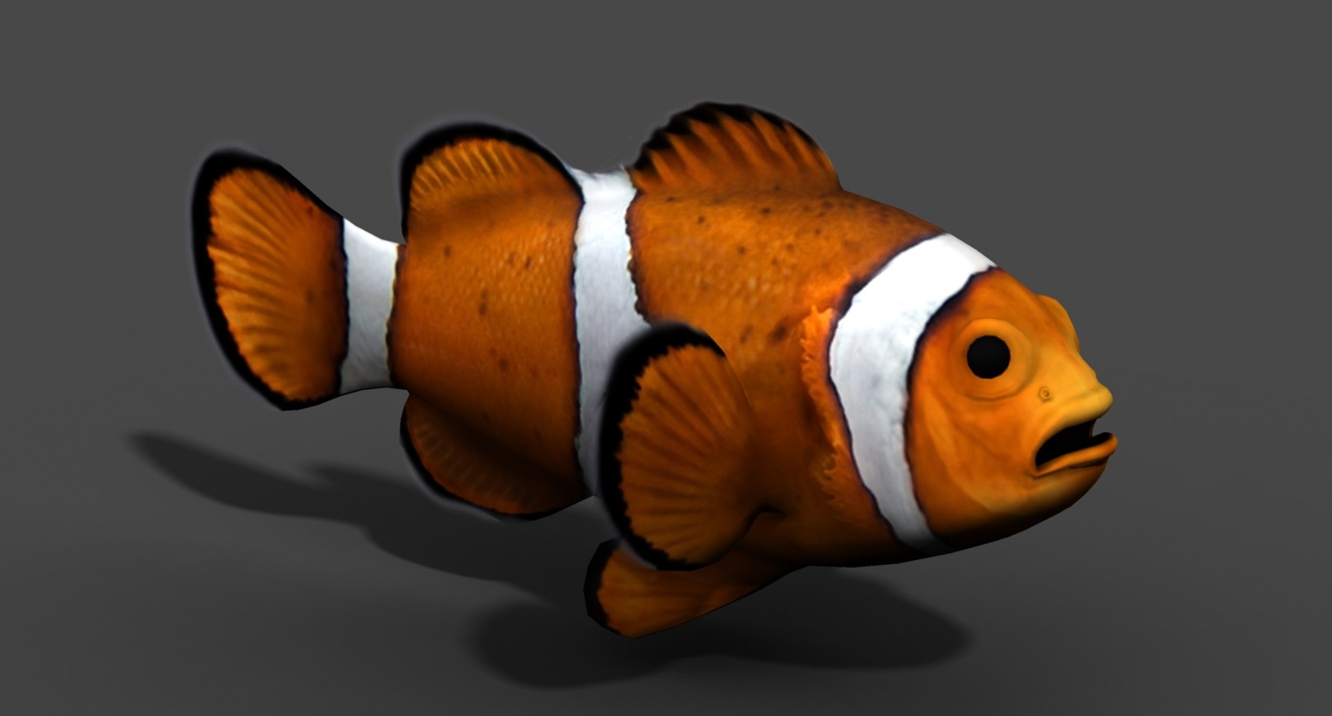 Clownfish Fish 3d Obj