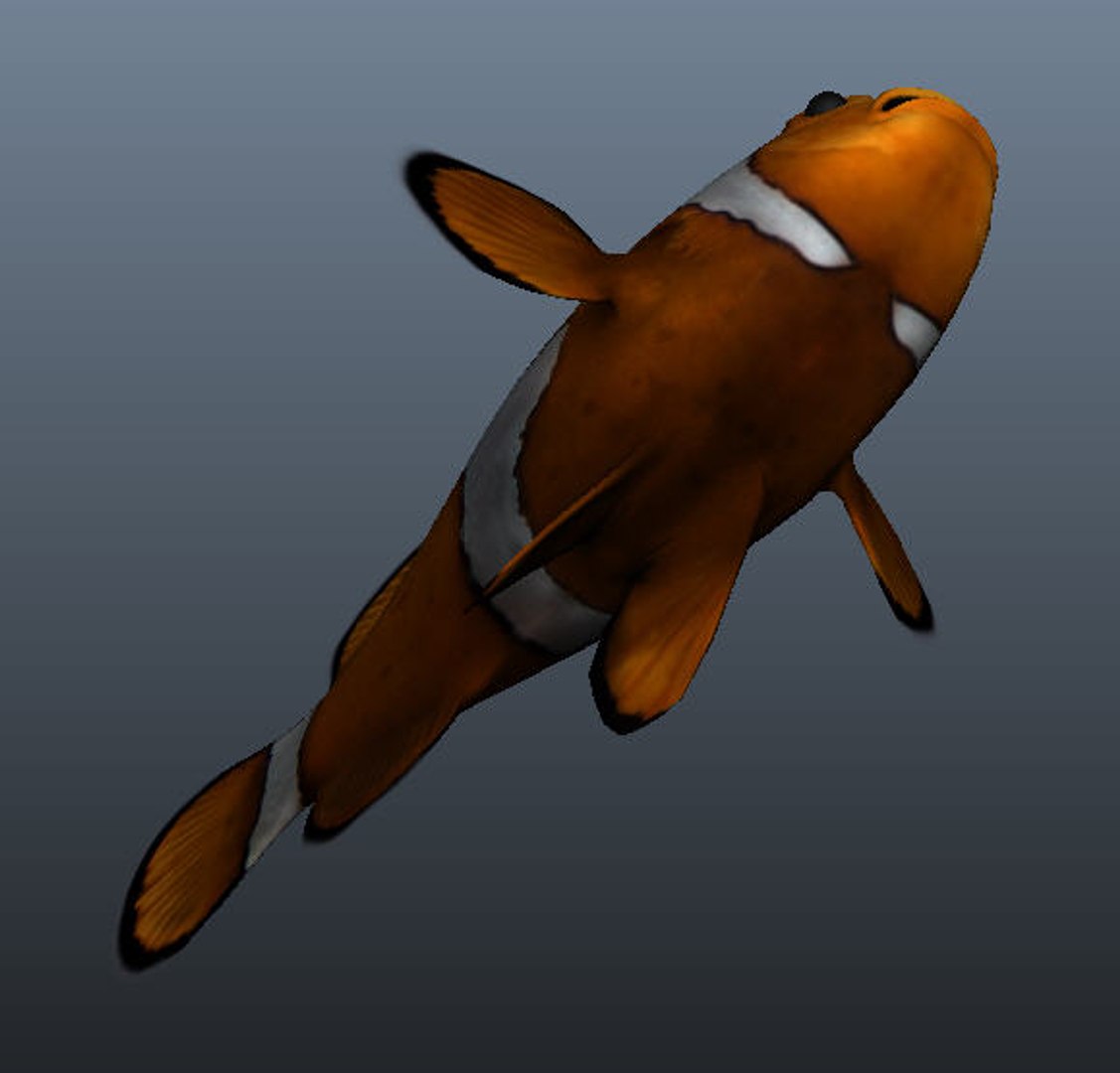 Clownfish Fish 3d Obj