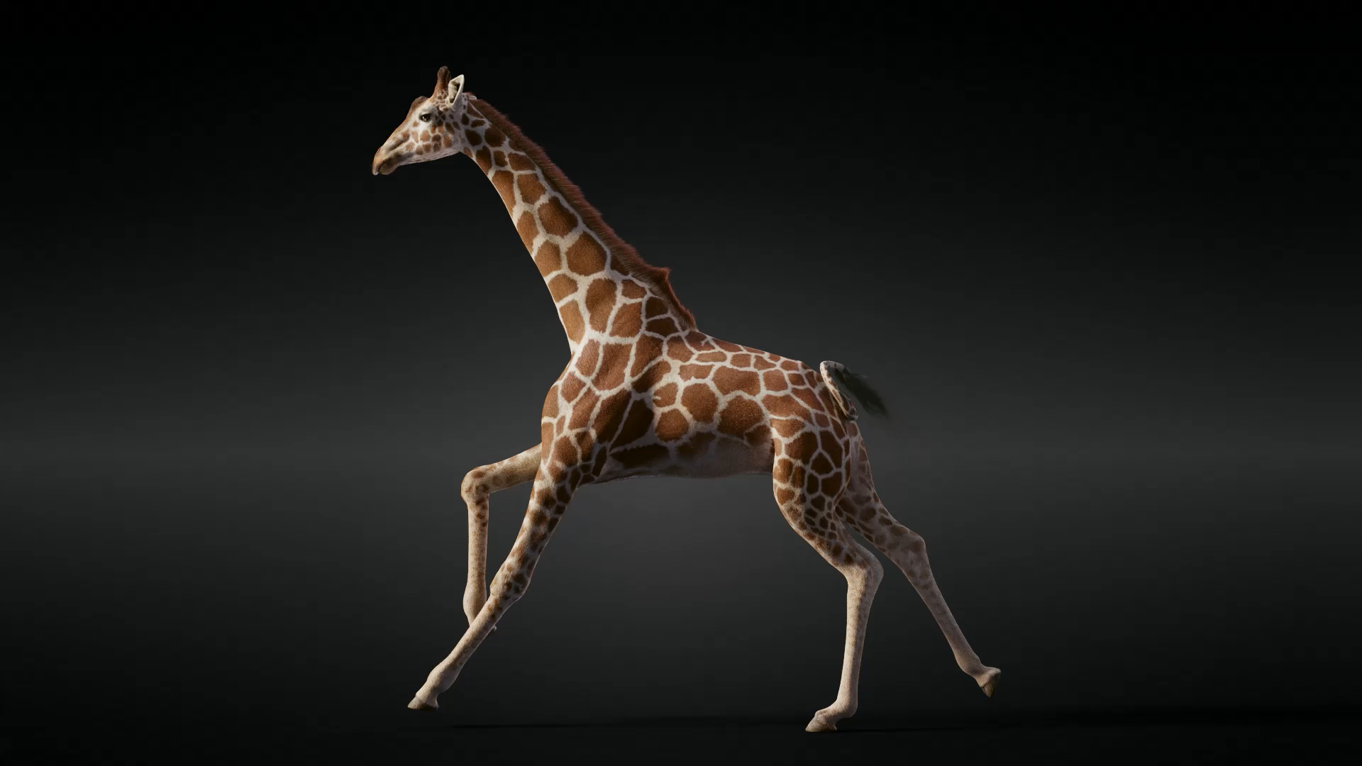 3D Animation Giraffe Model - TurboSquid 1708698
