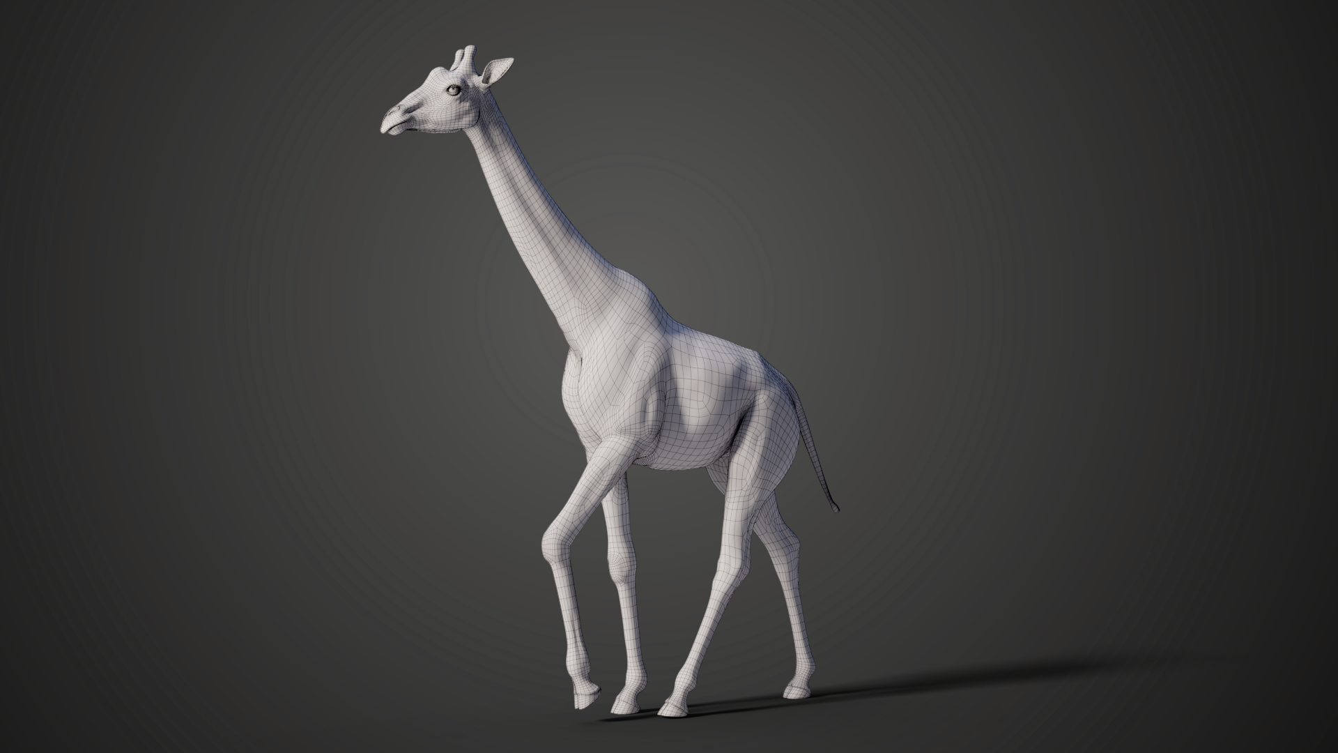 3D animation giraffe model - TurboSquid 1708698