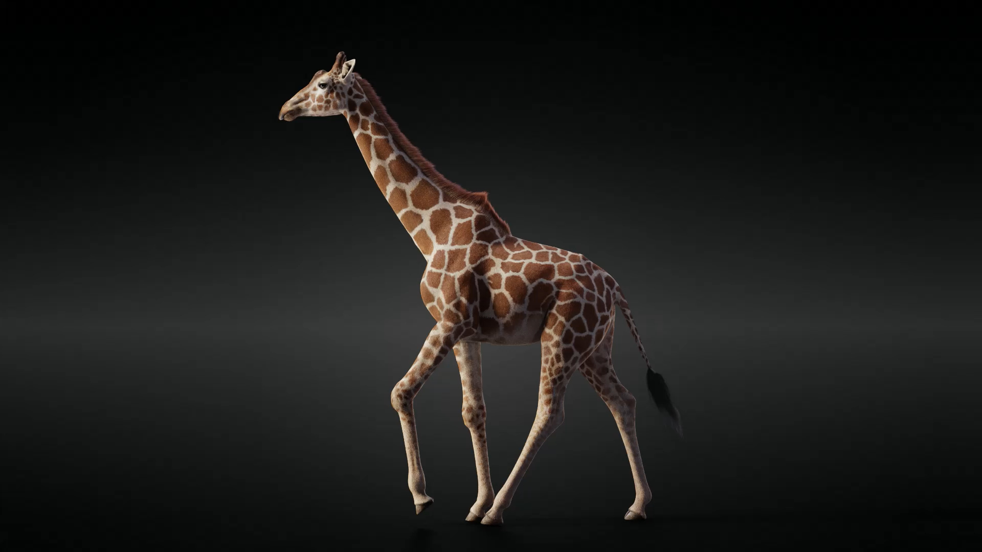 3D Animation Giraffe Model - TurboSquid 1708698