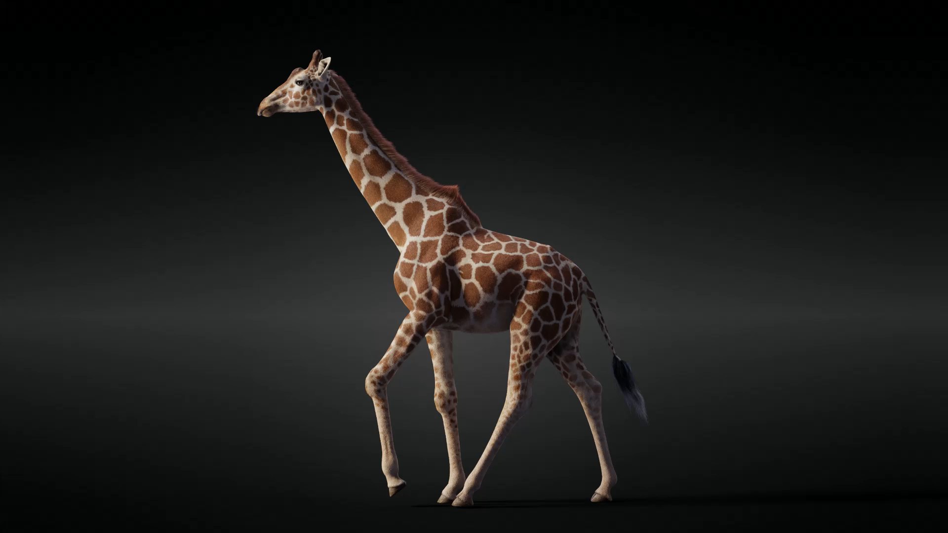 3D Animation Giraffe Model - TurboSquid 1708698
