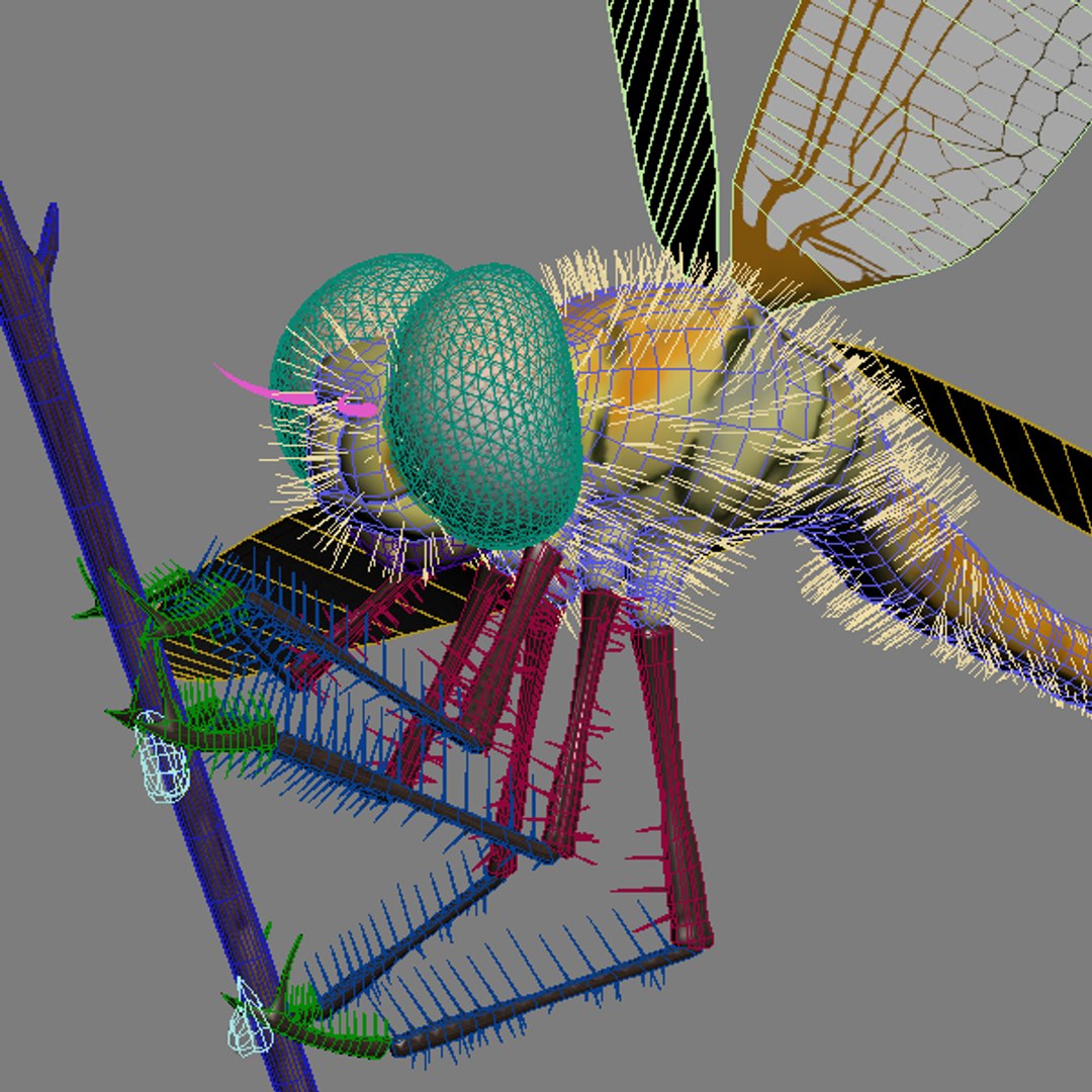 3ds Max Dragonfly Rigged
