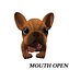obj french bulldog puppy morphs