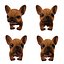 obj french bulldog puppy morphs