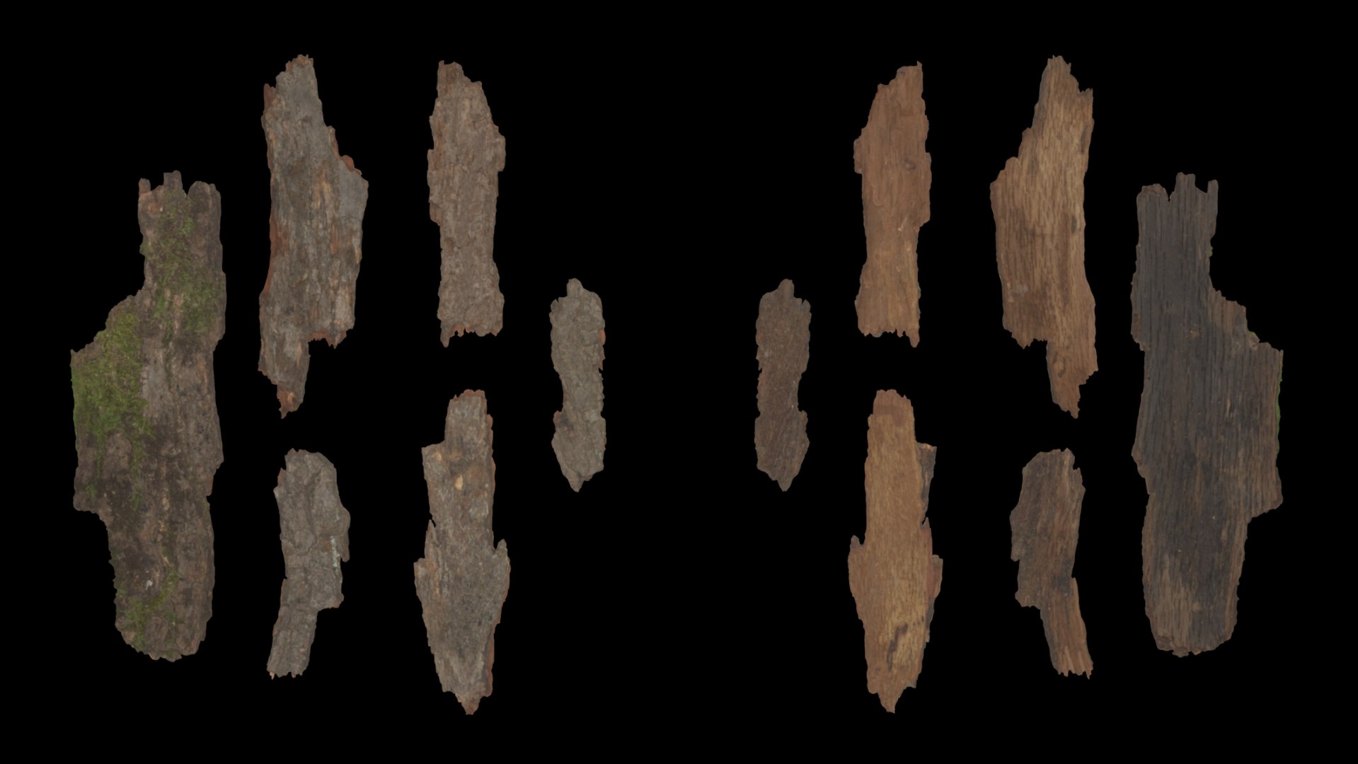 3D nature oak bark model - TurboSquid 1652171