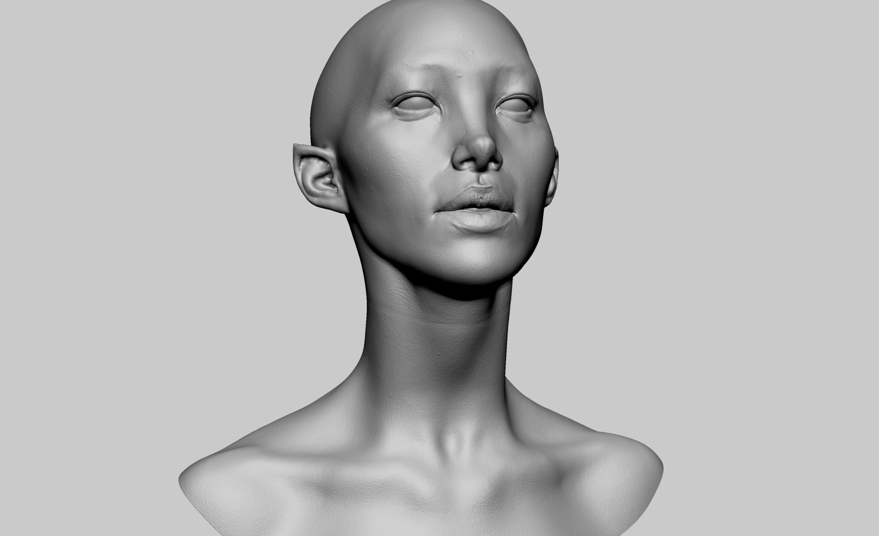 Female Head Anatomy 3D Model - TurboSquid 1560510