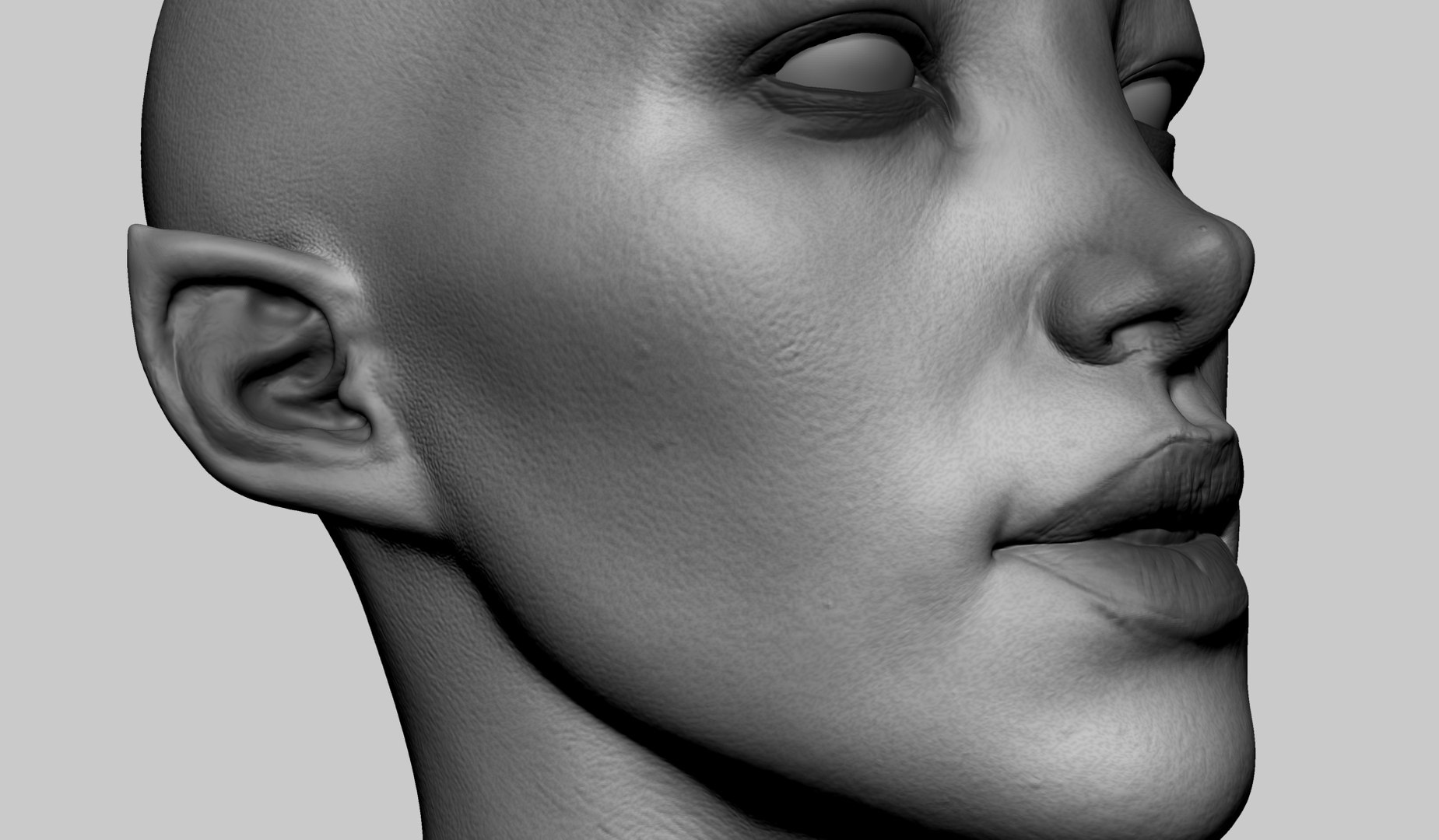 Female Head Anatomy 3d Model Turbosquid 1560510