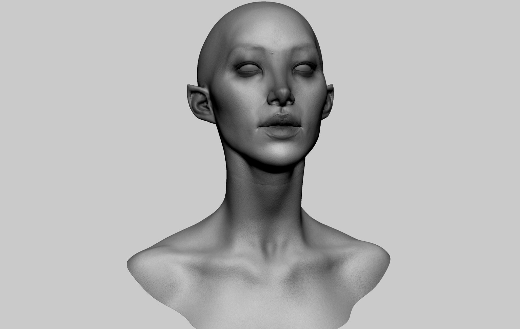Female Head Anatomy 3D Model - TurboSquid 1560510