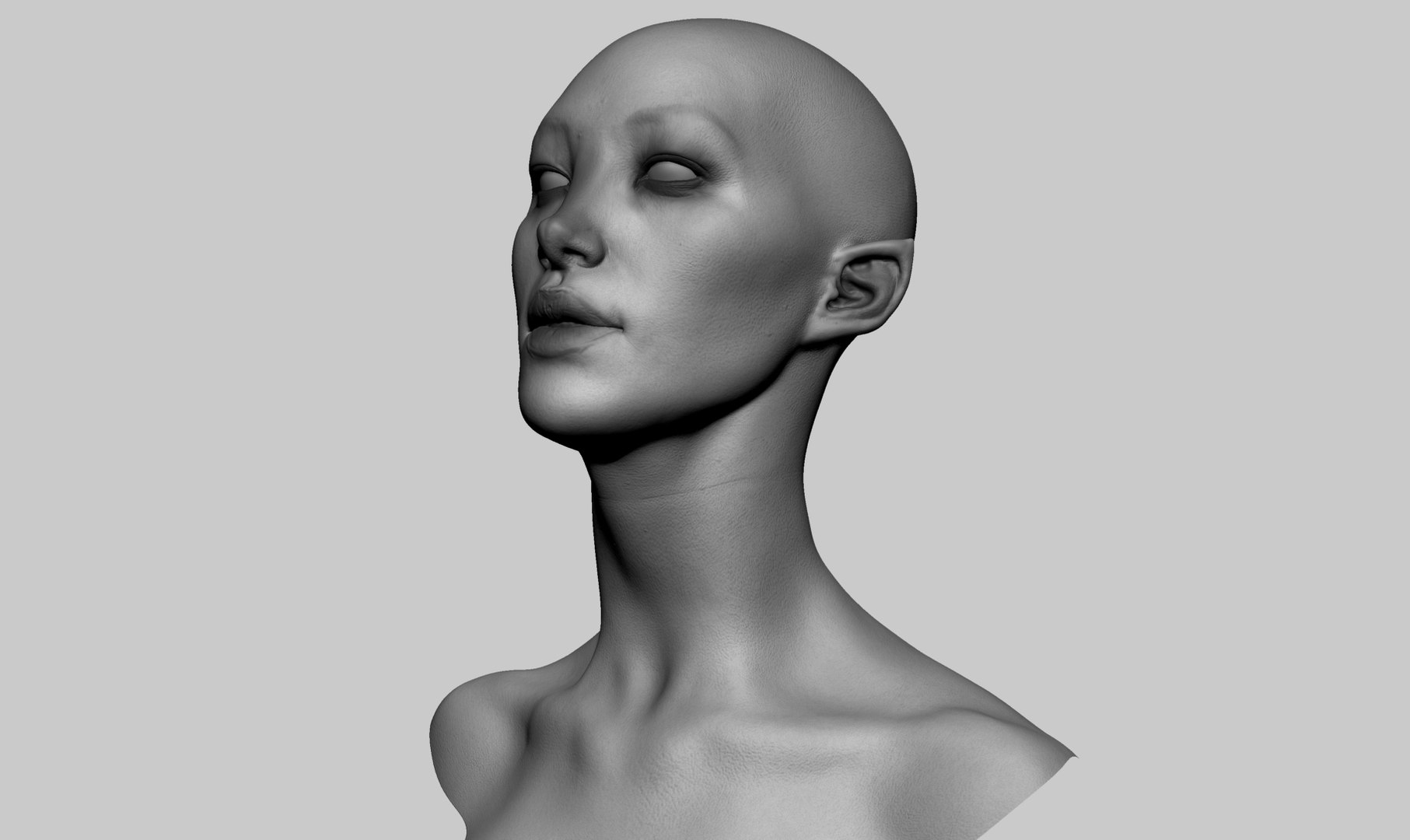 Female Head Anatomy 3D Model - TurboSquid 1560510