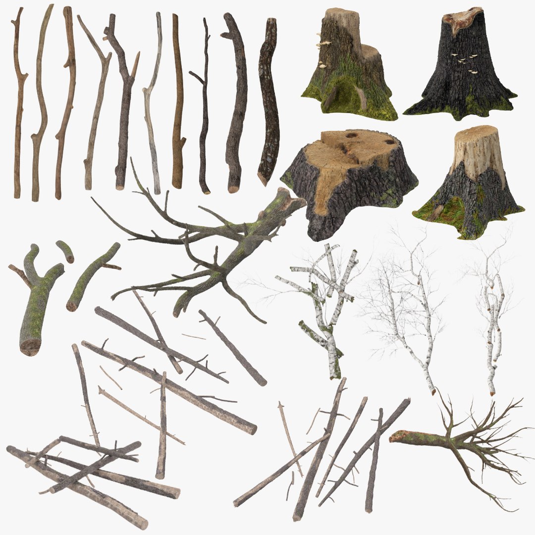 twigs sticks stumps log max