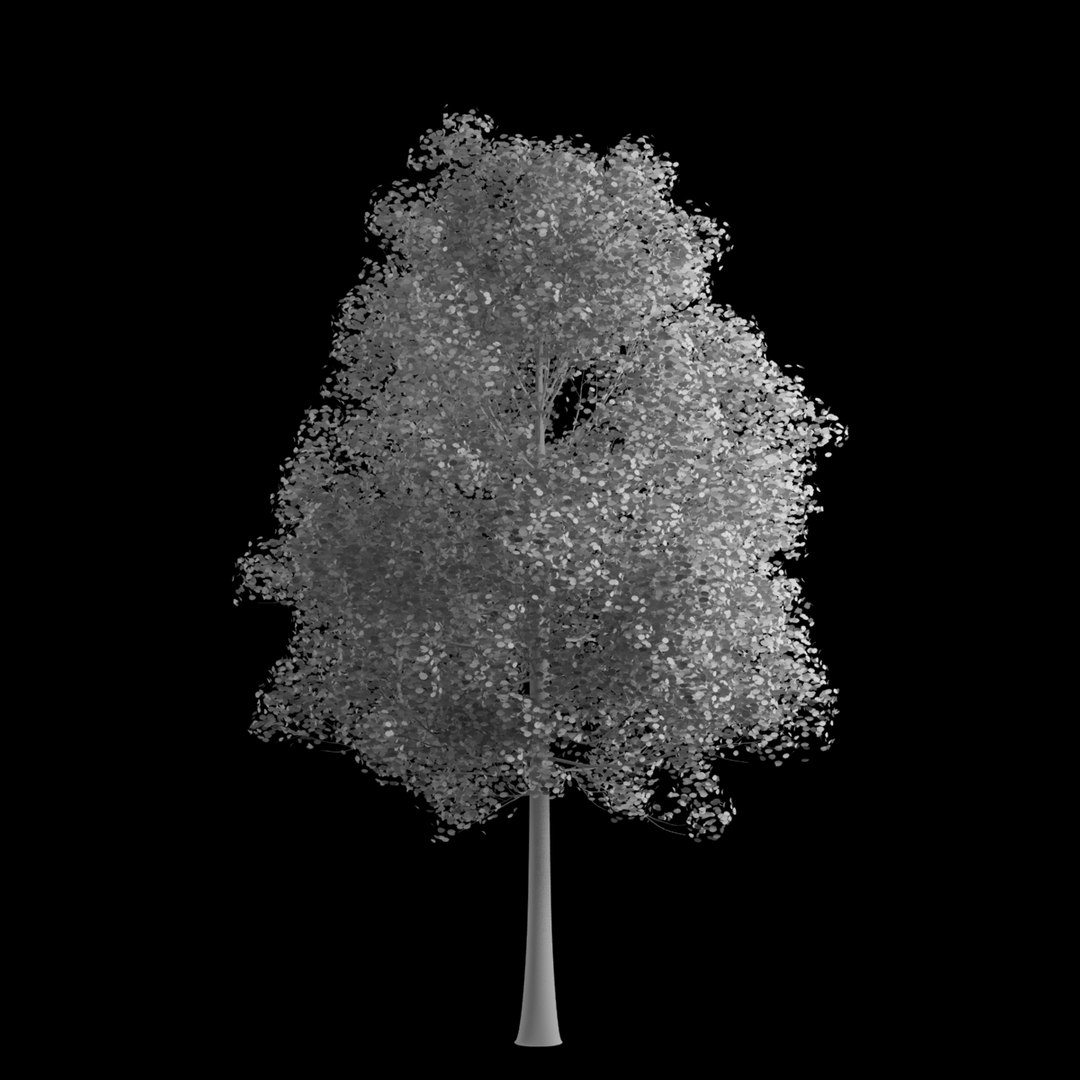 Linden Tree 3d Obj
